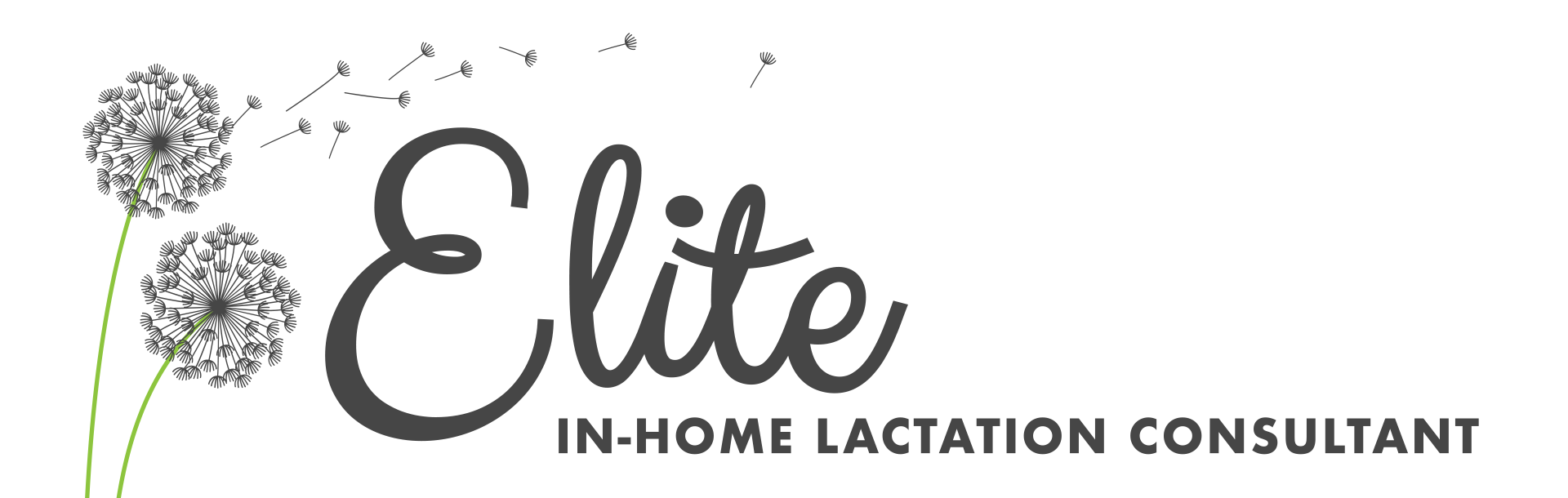 Home - Elite In-Home Lactation